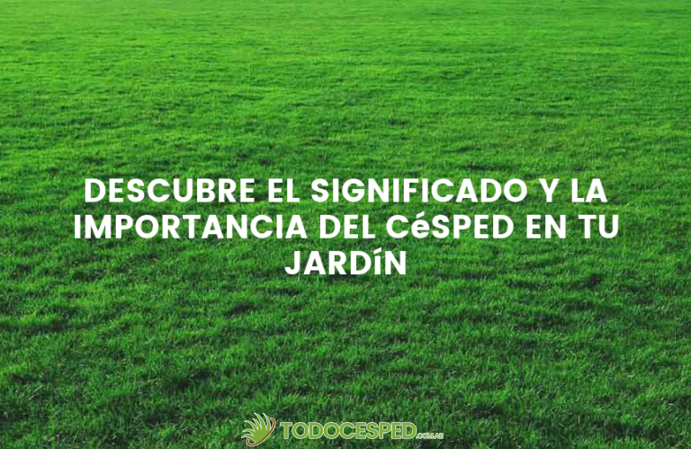 Descubre el Significado y la Importancia del Césped en tu Jardín - 【 2024