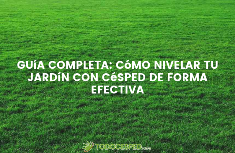 Guía completa: Cómo nivelar tu jardín con césped de forma efectiva - 【 2024