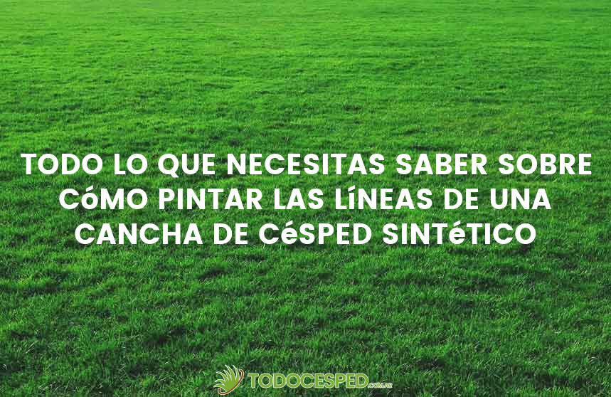 Todo lo que necesitas saber sobre cómo pintar las líneas de una cancha ...